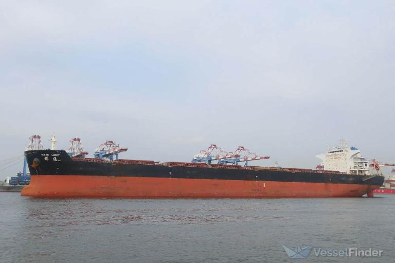 OCEAN LUCKY, Bulk Carrier - Details and current position - IMO 9514896 ...