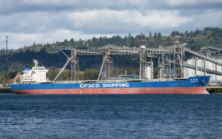 CUI PING FENG, Bulk Carrier - Details and current position - IMO ...