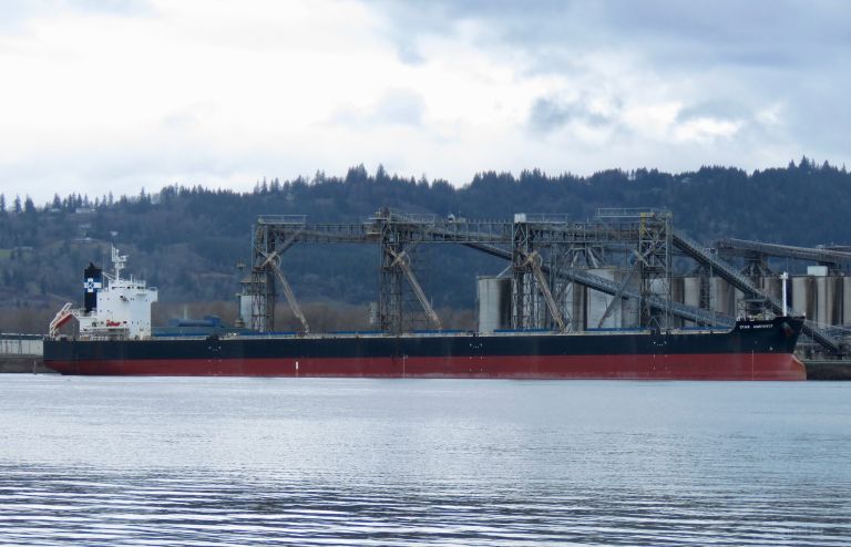 STAR AMETHYST, Bulk Carrier - Details and current position - IMO ...
