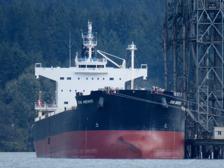STAR AMETHYST, Bulk Carrier - Details and current position - IMO ...
