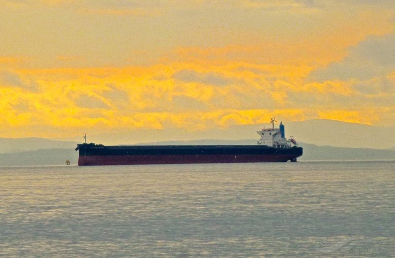 BEYOND 2, Bulk Carrier - Details and current position - IMO 9526564 ...