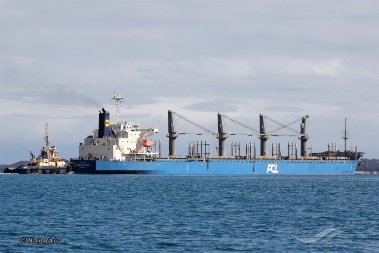 DEVBULK KAYA, General Cargo Ship - Details and current position - IMO ...
