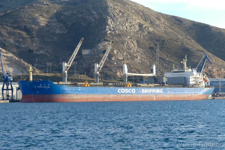 SHENG FENG HAI, Bulk Carrier - Details and current position - IMO ...