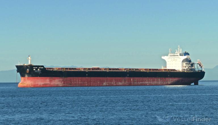 OCEAN ARTEMIS, Bulk Carrier - Details and current position - IMO ...