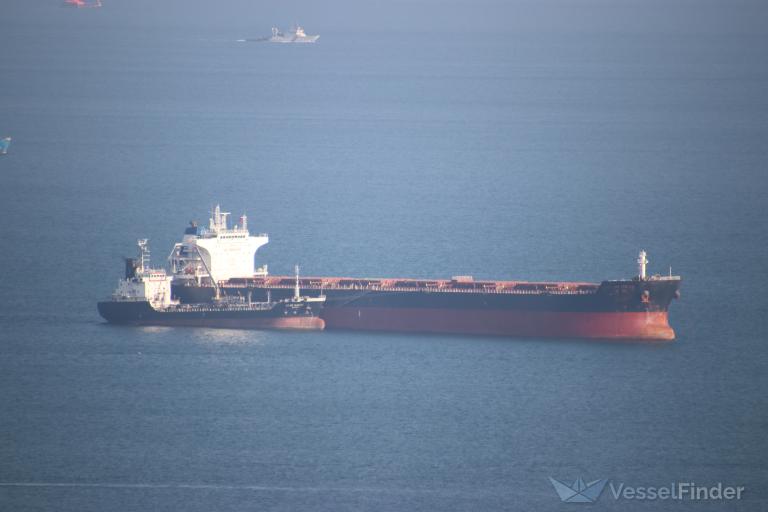 OCEAN PHOENIX, Bulk Carrier - Details and current position - IMO ...