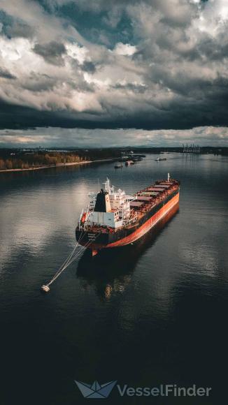 SAUVAN, Bulk Carrier - Details and current position - IMO 9537628 ...