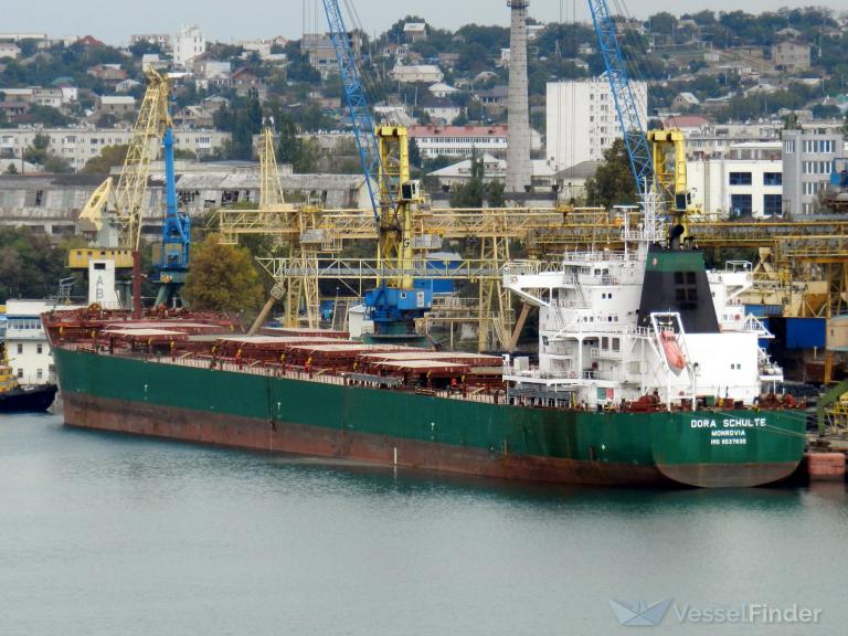 XIN RONG, Bulk Carrier - Details and current position - IMO 9537630 ...
