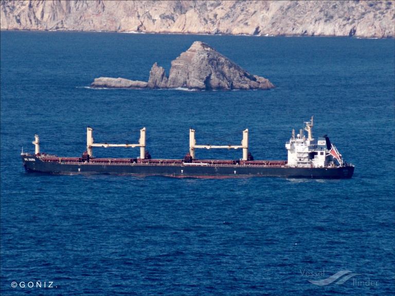 SFL SARA, Bulk Carrier - Details and current position - IMO 9539834 ...