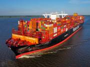 DAMIETTA EXPRESS, Container Ship - Details and current position - IMO ...