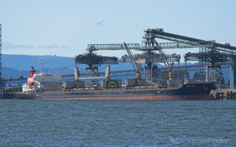 NEGMAR CICEK, General Cargo Ship - Details and current position - IMO ...