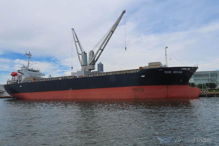 TOYO DREAM, General Cargo Ship - Details and current position - IMO ...