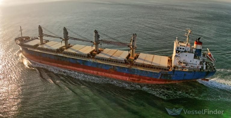 SAFI FORTUNE, Bulk Carrier - Details and current position - IMO 9550321 ...