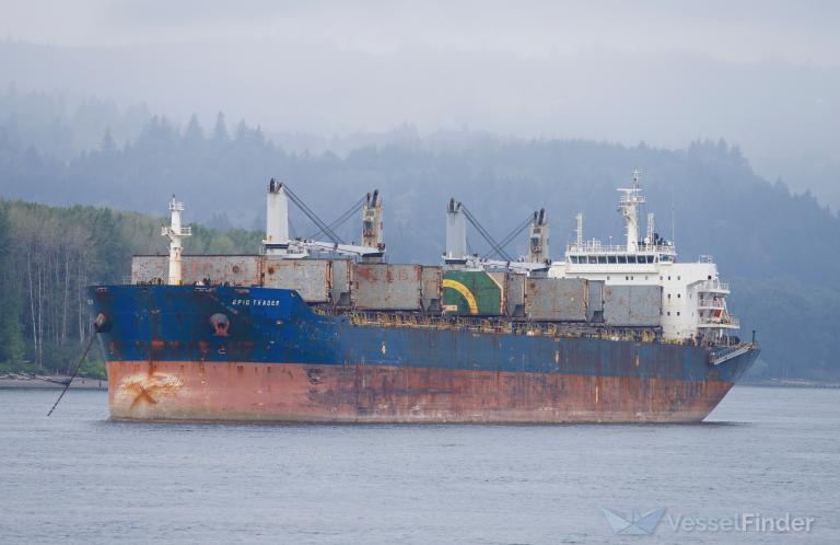 EPIC TRADER, Bulk Carrier - Details and current position - IMO 9551698 ...