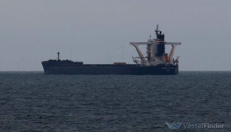 CARDINAL VICTORY, Bulk Carrier - Details and current position - IMO ...