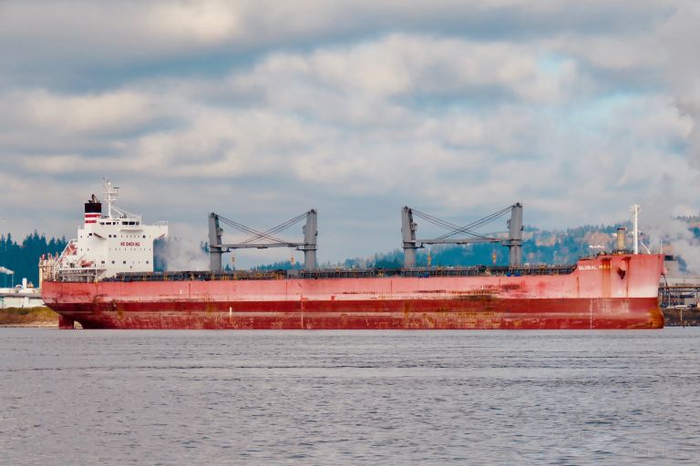GLOBAL MIRAI, Bulk Carrier - Details and current position - IMO 9558256 ...