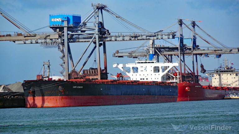 CAPE CONDOR, Bulk Carrier - Details and current position - IMO 9560390 - VesselFinder