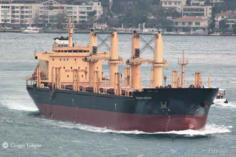 SHAMAN WISDOM, Bulk Carrier - Details and current position - IMO ...