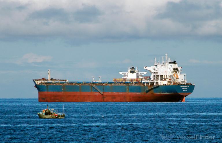 INDUS FORTUNE, Bulk Carrier - Details and current position - IMO ...