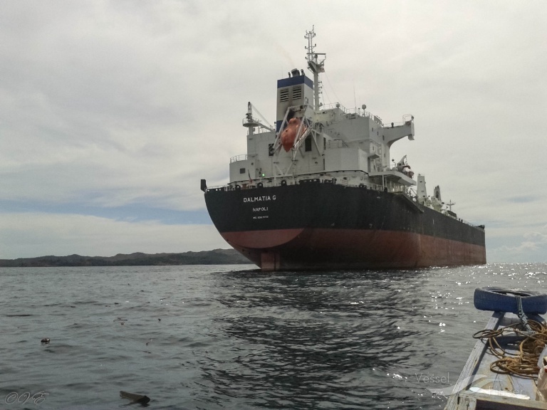 SERENE AMELIA, Bulk Carrier - Details and current position - IMO ...