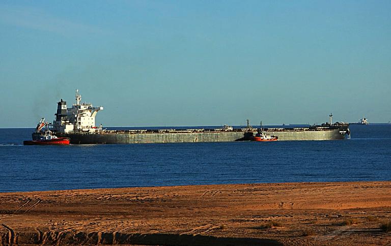 PACIFIC CENTURY, Bulk Carrier - Details and current position - IMO ...