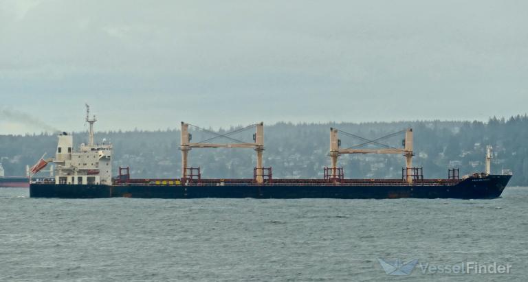 LILA INCHEON, Bulk Carrier - Details and current position - IMO 9571272 ...
