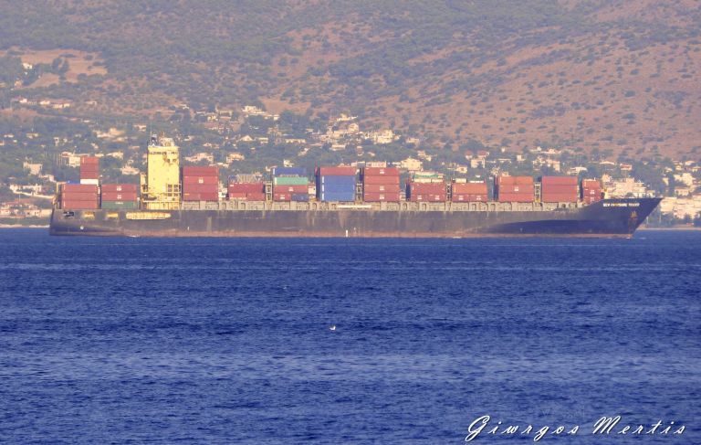 LOG-IN ENDURANCE, Container Ship - Dane statku i aktualna pozycja - IMO ...