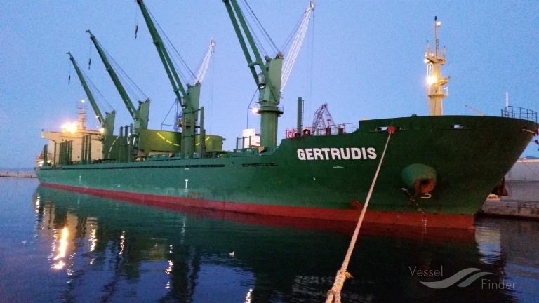 AVELLANEDA, Bulk Carrier - Details and current position - IMO 9571636 ...