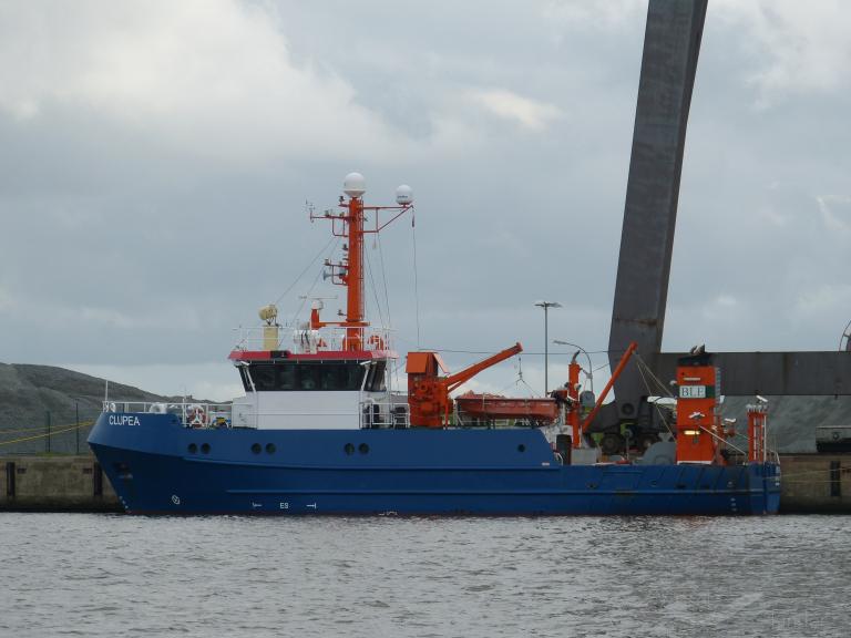 CLUPEA, Fishing Support Vessel - Details and current position - IMO ...