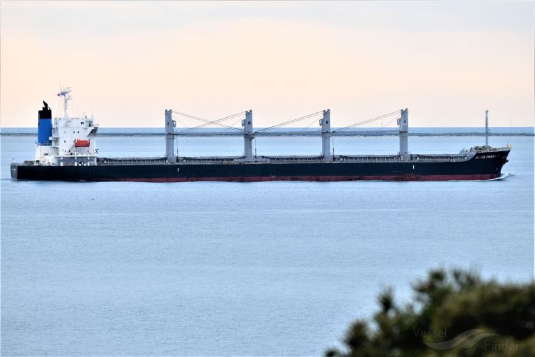 INDIGO IMABARI, Bulk Carrier - Данные судна и текущее положение - IMO ...