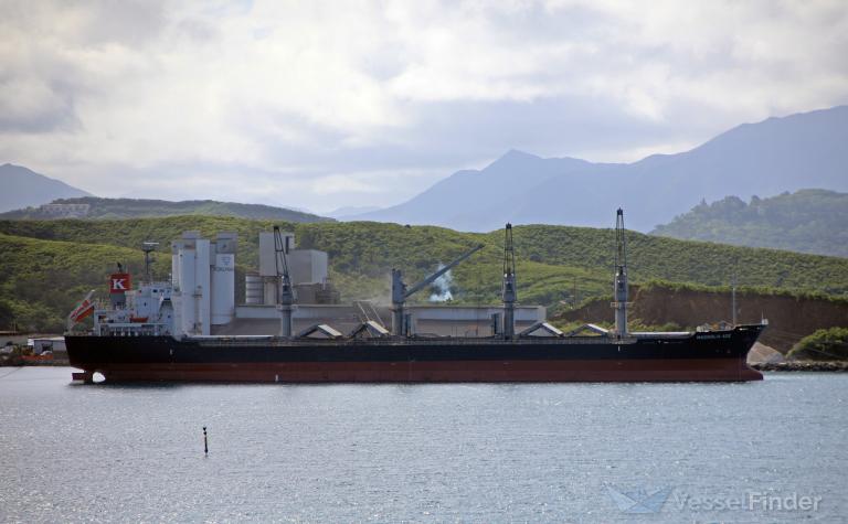 COSMOS, Bulk Carrier - Details and current position - IMO 9574171 ...