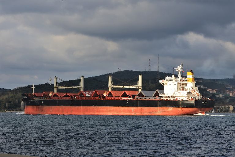 ACHI, Bulk Carrier - Details and current position - IMO 9575137 ...