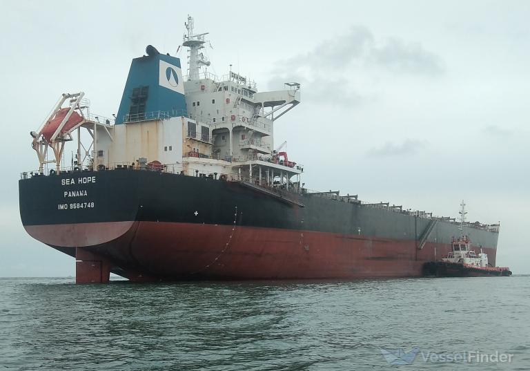 SEA HOPE, Bulk Carrier - Details and current position - IMO 9584748 ...