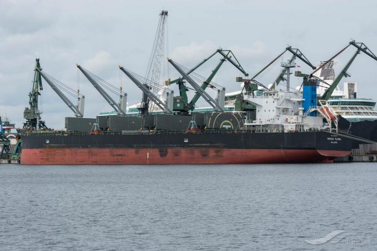INDIGO FLORA, Bulk Carrier - Details and current position - IMO 9584877 ...