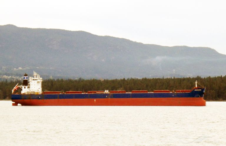 ANDROUSA, Bulk Carrier - Details and current position - IMO 9586356 ...