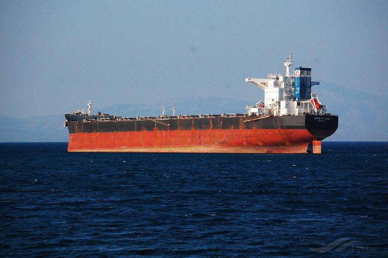 MAGNES, Bulk Carrier - Details and current position - IMO 9588457 ...