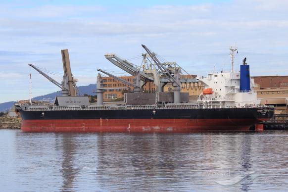 SCHELDE CONFIDENCE, Bulk Carrier - Details and current position - IMO 9589762 - VesselFinder
