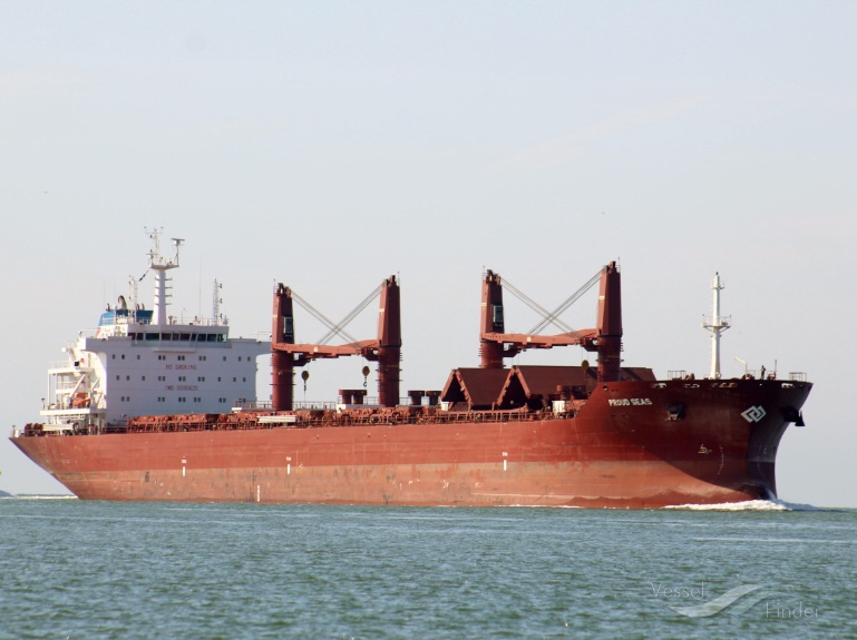 ANGEL, Bulk Carrier - Details and current position - IMO 9590620 ...