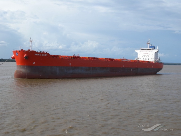 GOLDEN DAISY, Bulk Carrier - Details and current position - IMO 9590759 ...