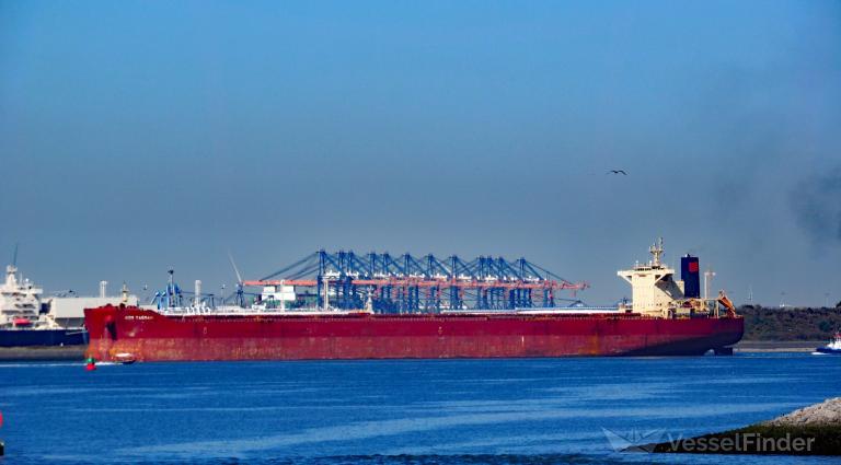 RTM TASMAN, Bulk Carrier - Details and current position - IMO 9591375 - VesselFinder