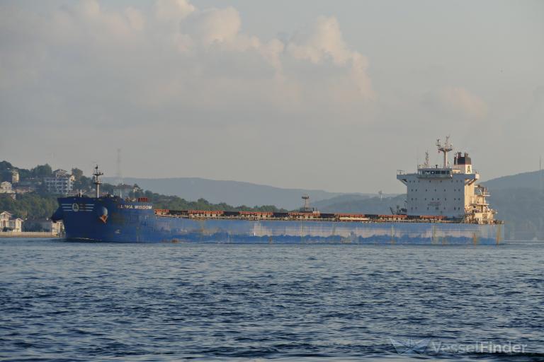 ALPHA WISDOM, Bulk Carrier - Details and current position - IMO 9593440 ...