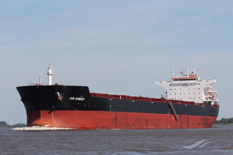 STALWART, Bulk Carrier - Details and current position - IMO 9593476 ...
