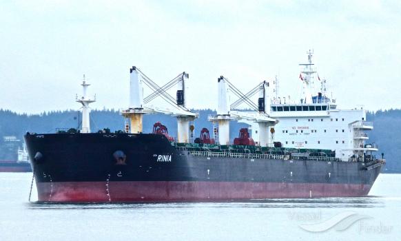 RINIA, Bulk Carrier - Details and current position - IMO 9594406 ...