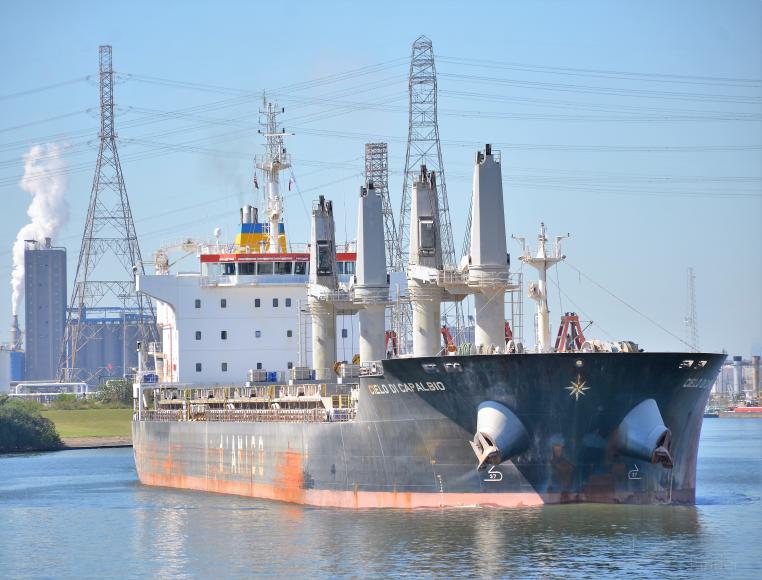 TBC PRAISE, Bulk Carrier - Details and current position - IMO 9595151 ...