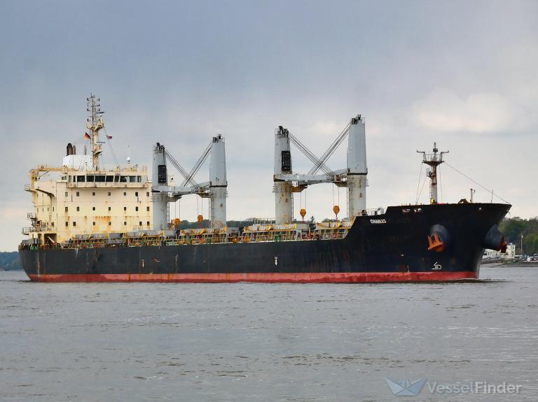 CHARLES, Bulk Carrier - Details and current position - IMO 9595175 ...