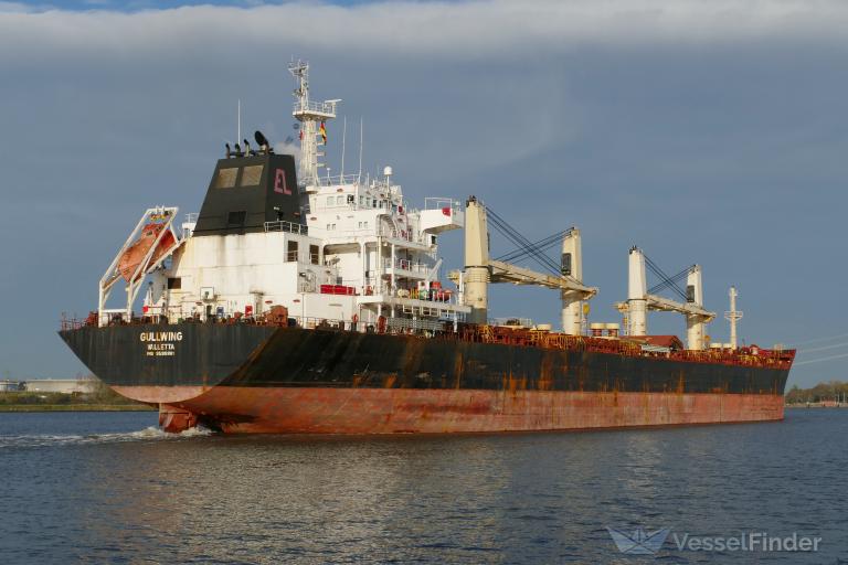 GULLWING, Bulk Carrier - Details and current position - IMO 9595981 ...