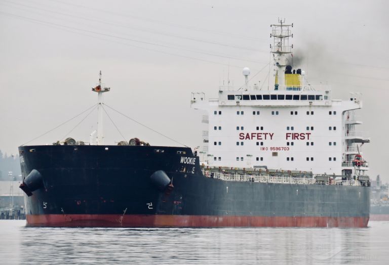 CHRISTIANNA, Bulk Carrier - Details and current position - IMO 9596703 ...