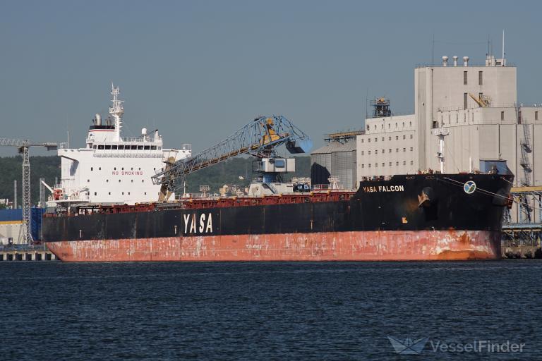 YASA FALCON, Bulk Carrier - Details and current position - IMO 9597123 ...