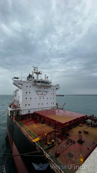 STARDUST, Bulk Carrier - Details and current position - IMO 9597757 ...