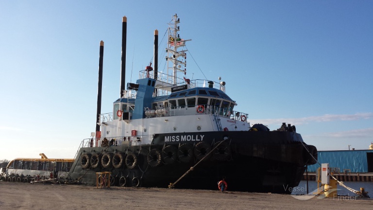 MISS MOLLY, Anchor Hoy - Details and current position - IMO 9598000 ...