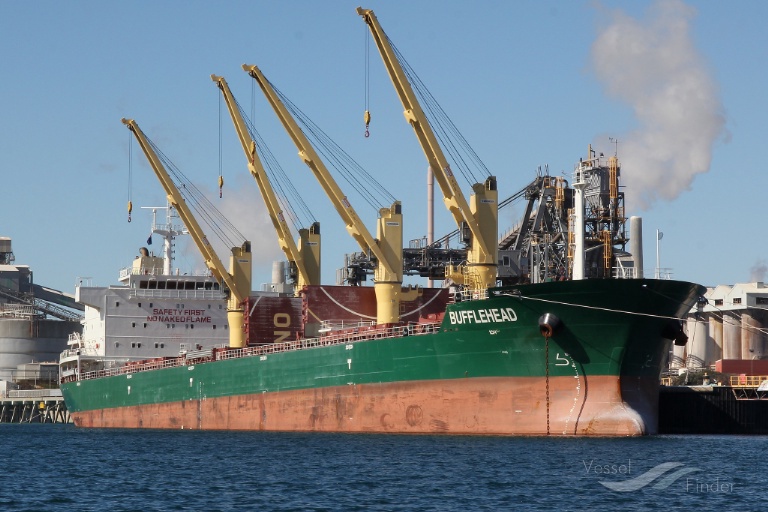 SEAHOPE, Bulk Carrier - Details and current position - IMO 9598294 ...